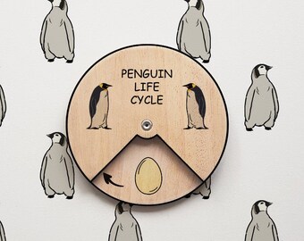 Wooden Bee Life Cycle Montessori Education | Etsy