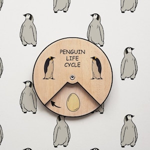 Wooden Penguin Life Cycle Montessori Education - Etsy