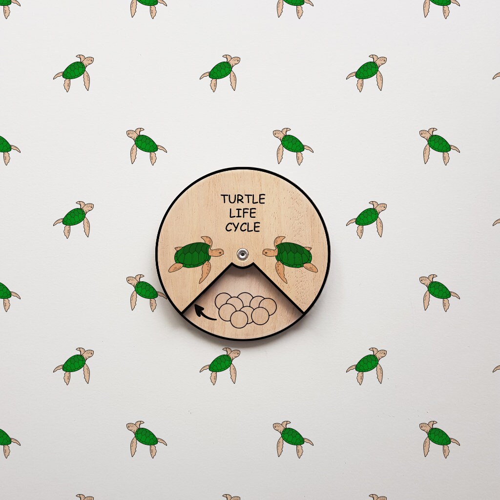 Wooden Turtle Life Cycle Montessori Education | Etsy