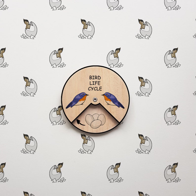 Wooden Bird Life Cycle Montessori Education - Etsy