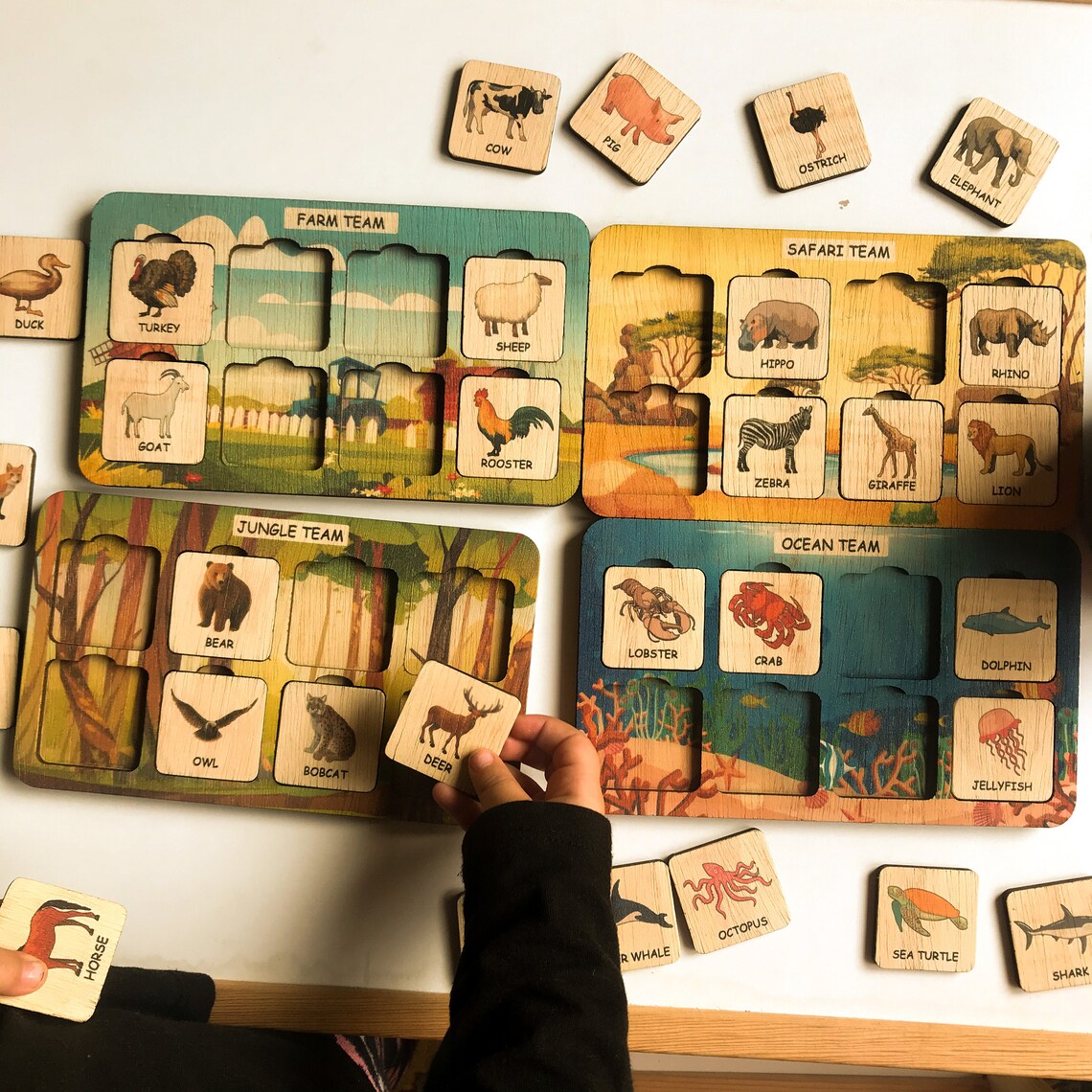 Complete the Animals Wooden Puzzle Animals Habitats - Etsy