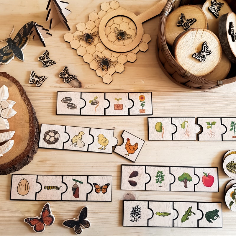 Life Cycle Puzzle - Etsy
