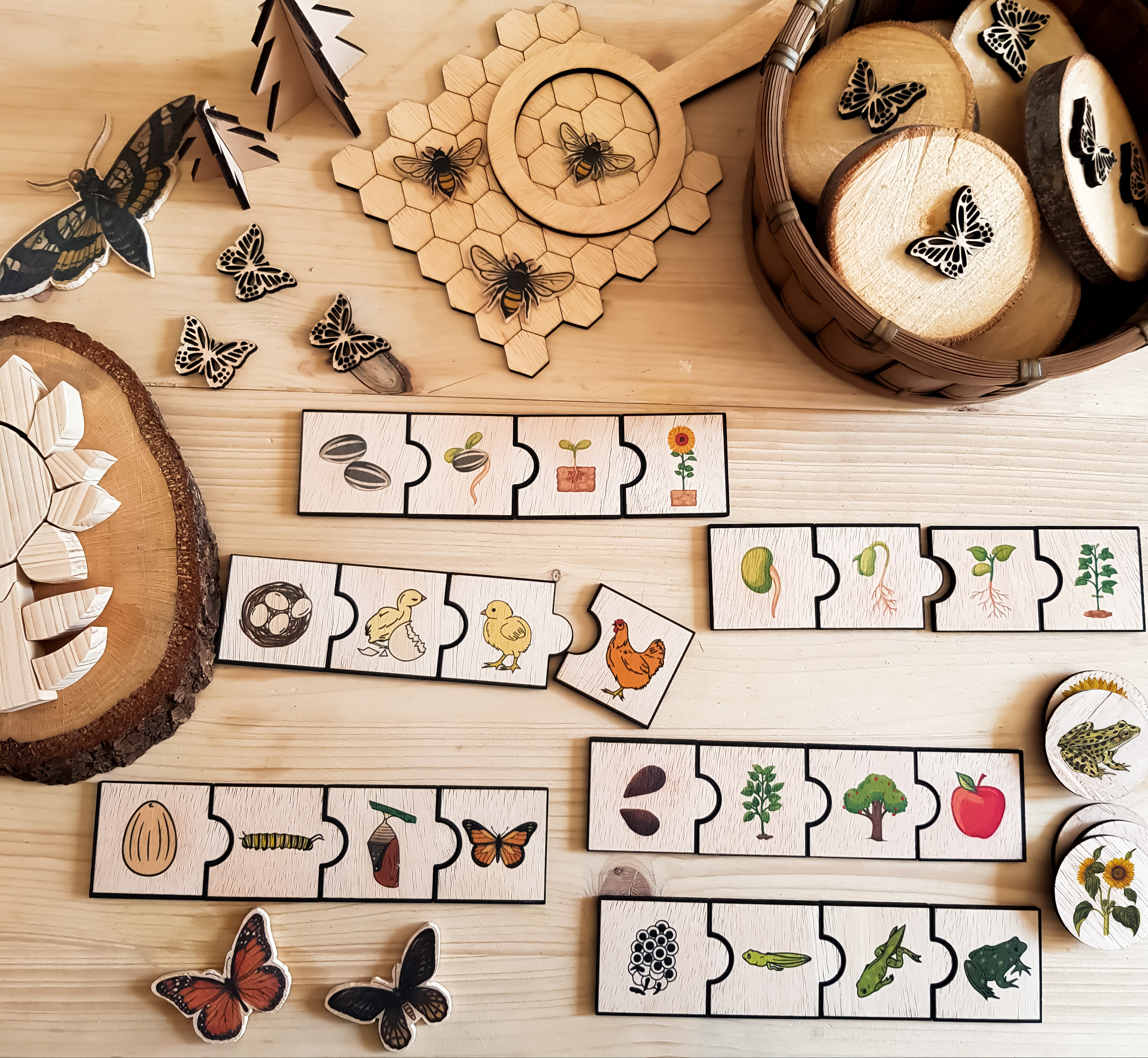 Customized Life Cycle Puzzle, Puzzle With Animals, Life Cycle Puzzle, 1 ...