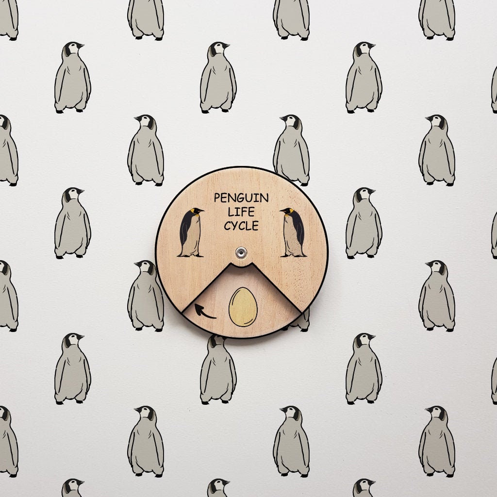 Wooden Penguin Life Cycle Montessori Education | Etsy