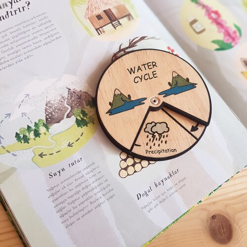 Wooden Water Life Cycle Montessori Education - Etsy