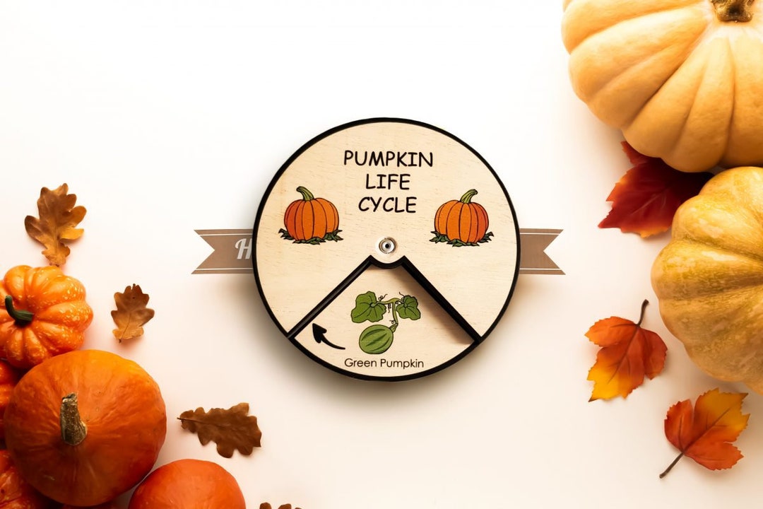 Wooden Pumpkin Life Cycle Montessori Education, Hallowen Gifts for Kids ...