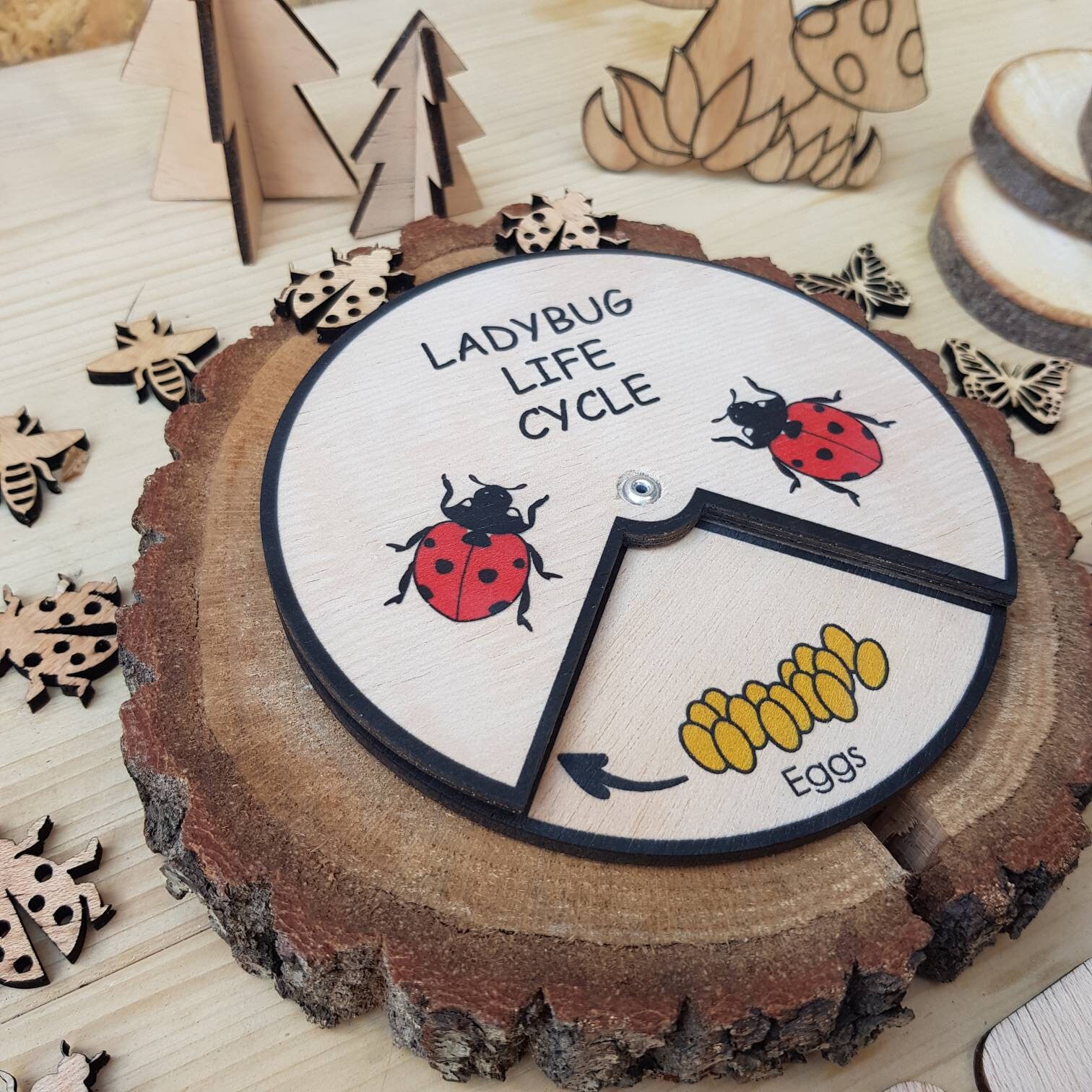 Wooden Ladybug Life Cycle Montessori Education - Etsy