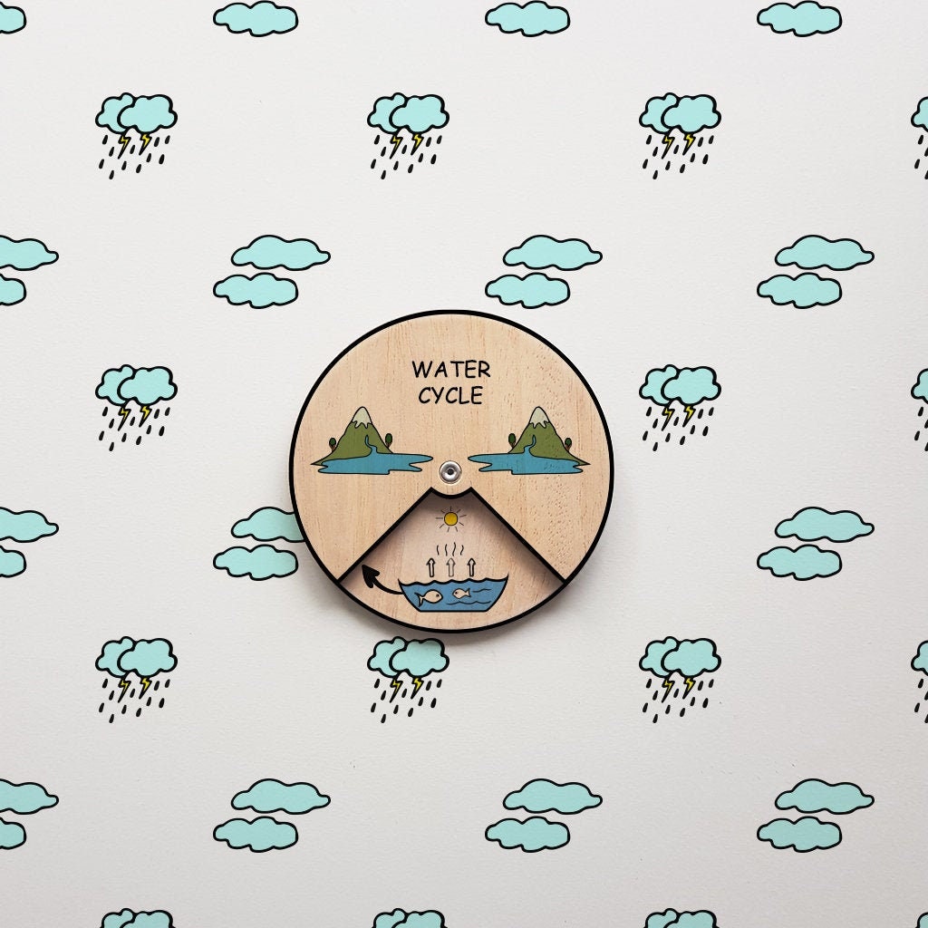 Wooden Water Life Cycle Montessori Education | Etsy