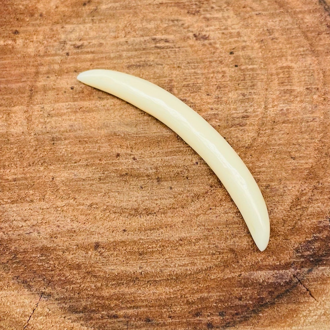BONE Curved Tusk, Septum Spike,tusk, Tribal Septum, Septum Pincher ...