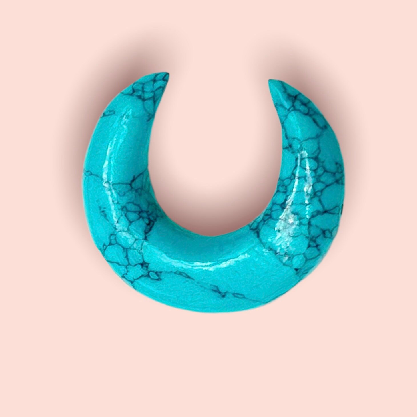 Turquoise Tuskorganic Stone Pinchers Septum Tusk Size: - Etsy