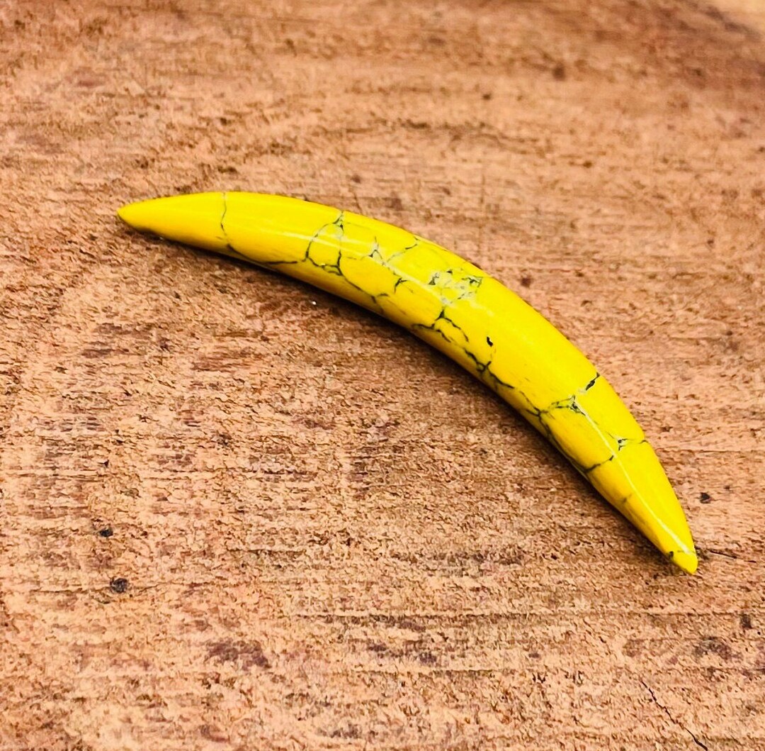 Yellow Turquoise CURVED Spike Tusk, Tribal Septum, Septum Pincher ...