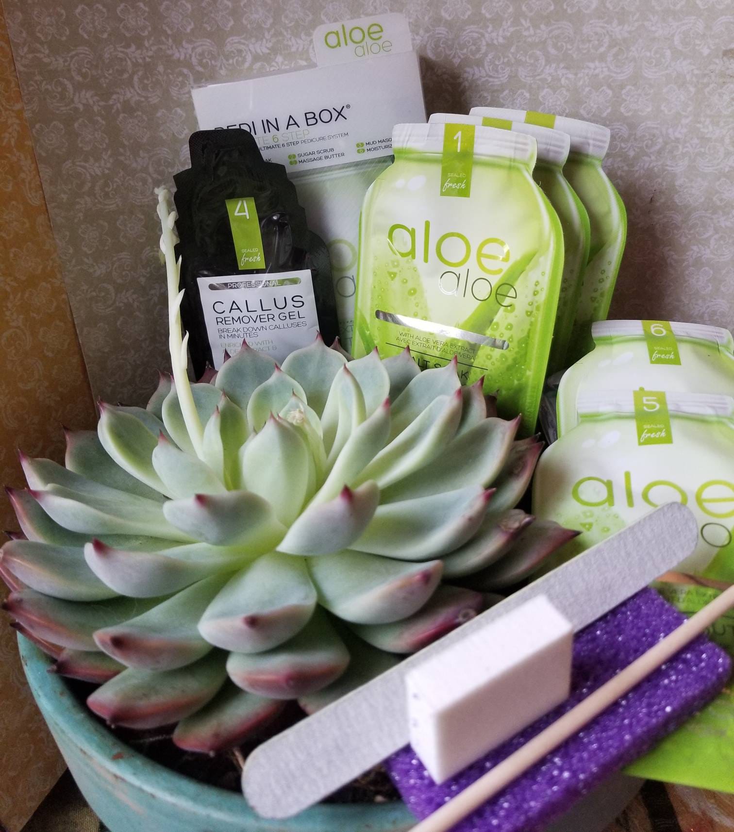 Voesh Aloe Vera PEDI-Queen SPA DIY 6 steps in 1 plus Nail | Etsy