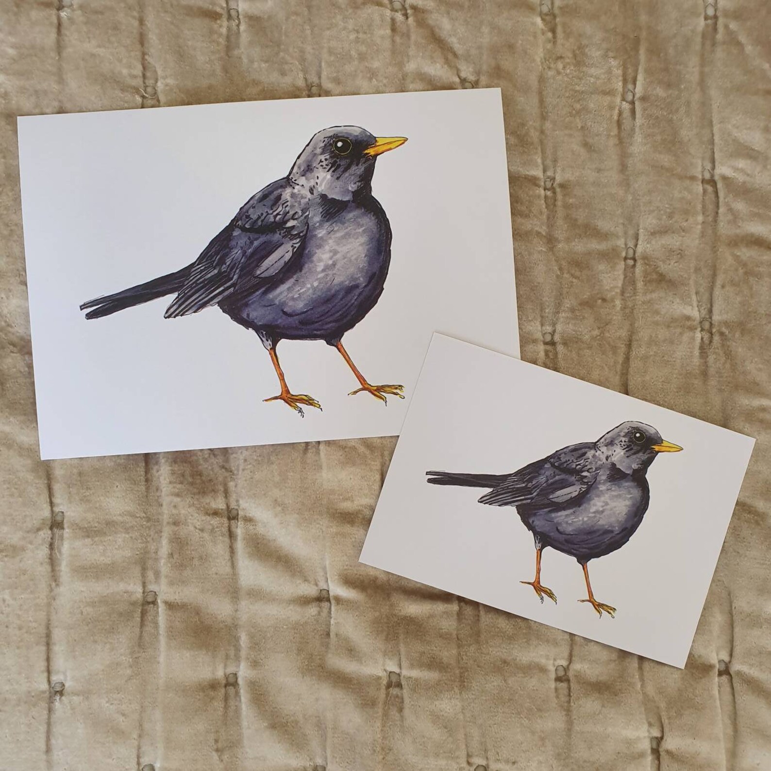 Blackbird - Fine Art Illustration Prints A4 and A5 Available. Wall Art ...