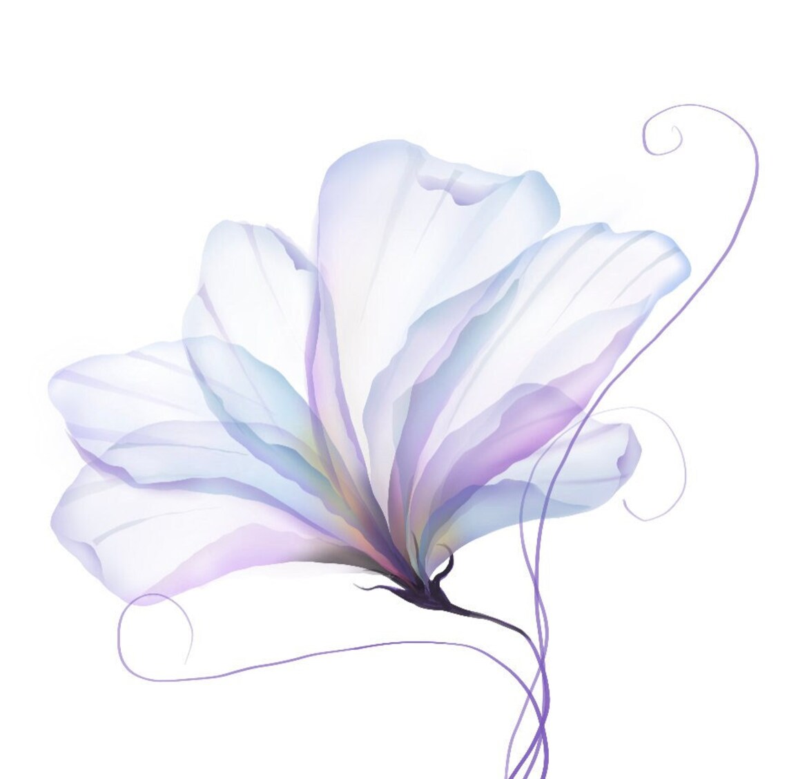 100% 3 Printable Image on a Transparent Background Watercolor Flowers ...