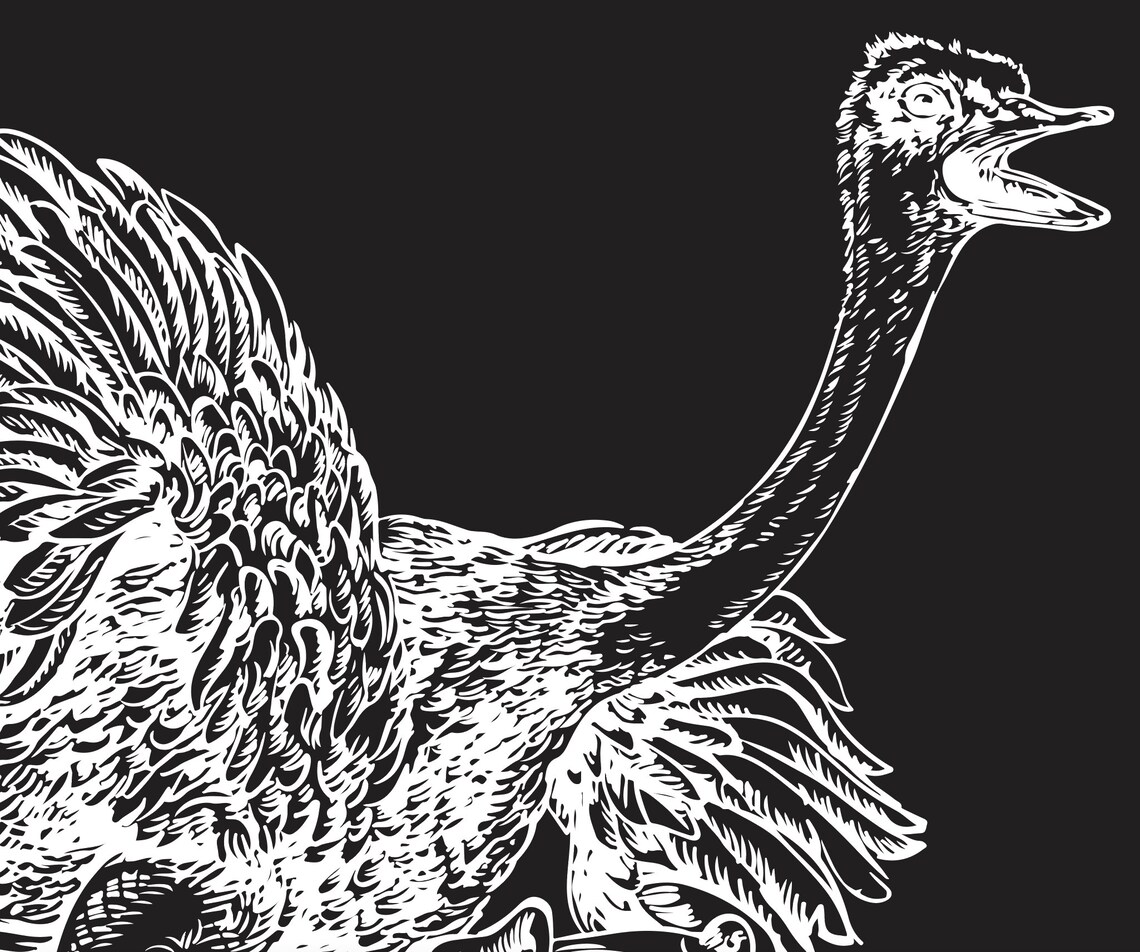 Ostrich on a Bicycle, Author's Drawing, on a Transparent Background ...