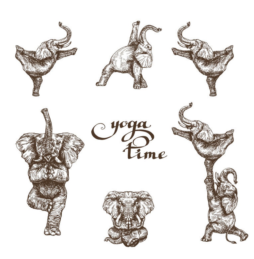5 Elephants Doing Yoga in Various Poses Illustration Engravingpng EPS ...