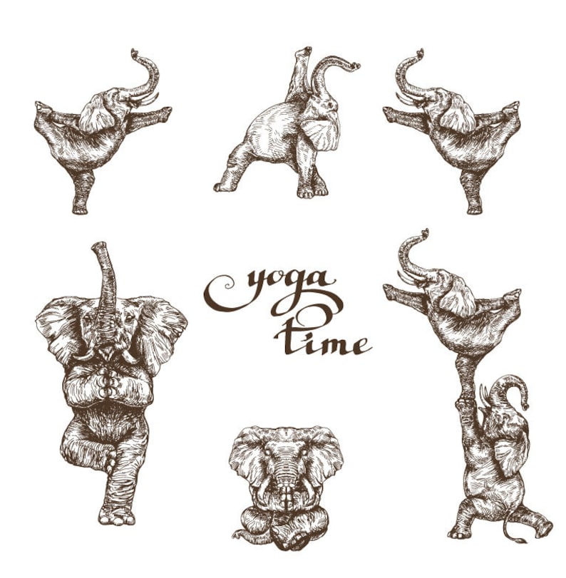 5 Elephants Doing Yoga in Various Poses Illustration Engravingpng EPS ...