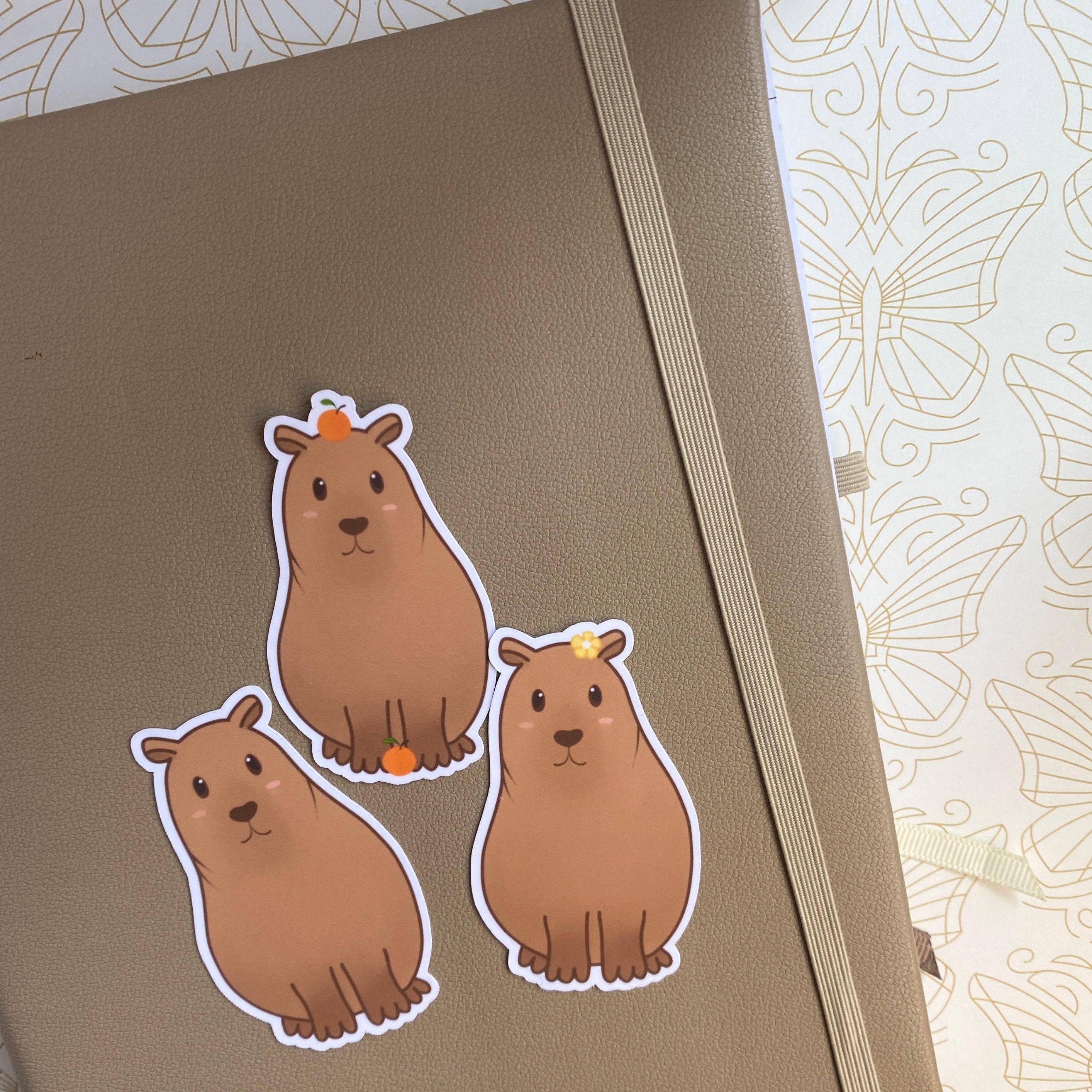 Capybara Sticker Set Cute Trendy Sticker, Animal Sticker, Capybara ...