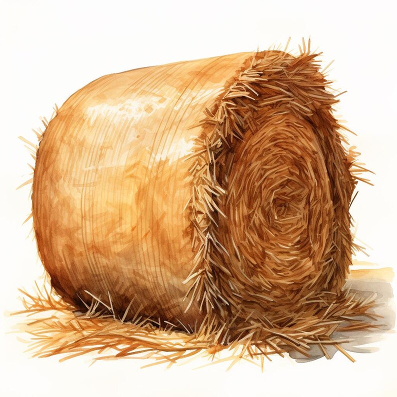 Hay Bale, Printable Watercolor Clipart, 10 High Quality Watercolor Jpgs ...
