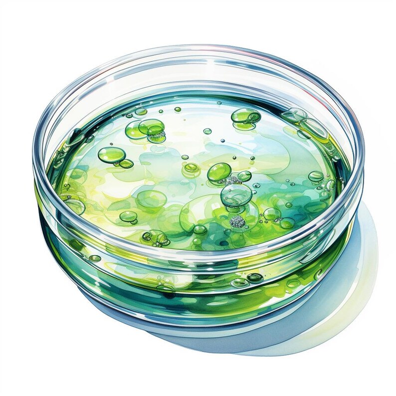 Petri Dish, Printable Watercolor Clipart, 10 High Quality Watercolor ...