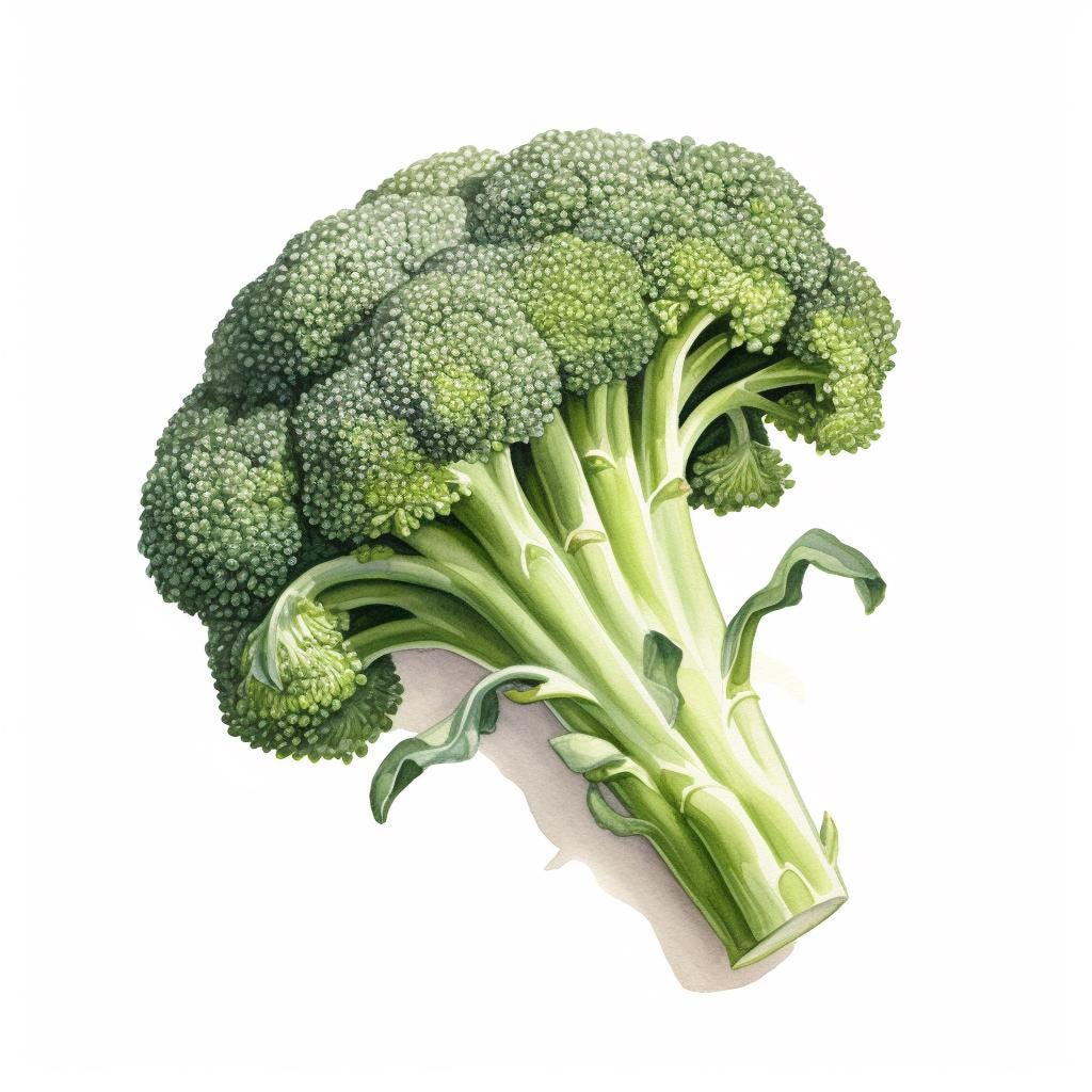 Broccoli, Printable Watercolor Clipart Bundle, 10 High Quality ...