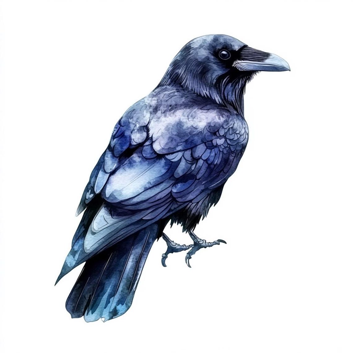Raven Bird Illustration, Printable Watercolor Clipart Bundle, 10 High ...