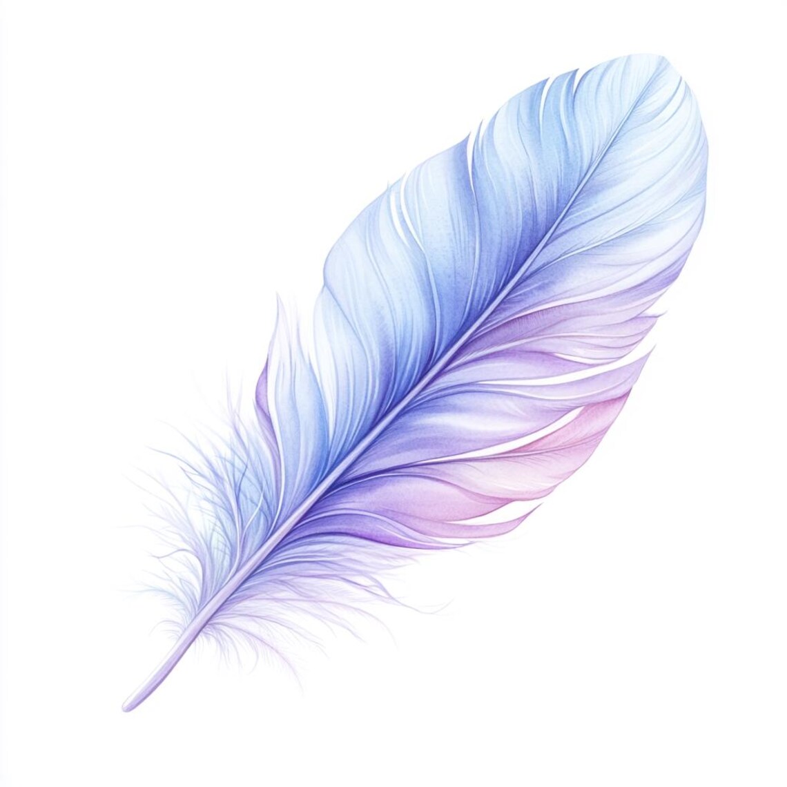 Watercolor Feather Clipart Bundle, 10 Watercolor JPG, Instant Downlod ...