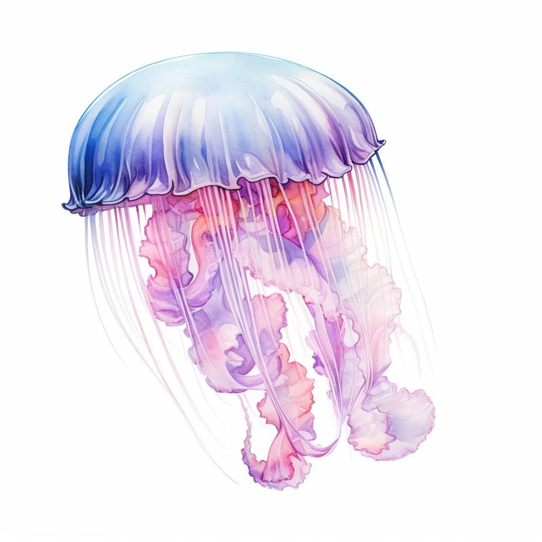 Jellyfish, Printable Watercolor Clipart Bundle, 10 High Quality ...