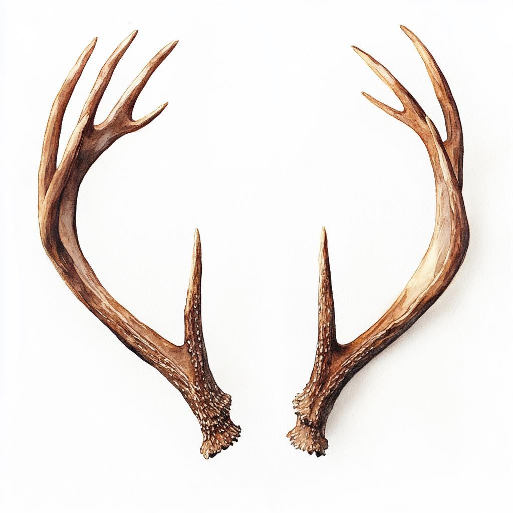 Deer Antlers, Printable Watercolor Clipart, 10 High Quality Watercolor ...