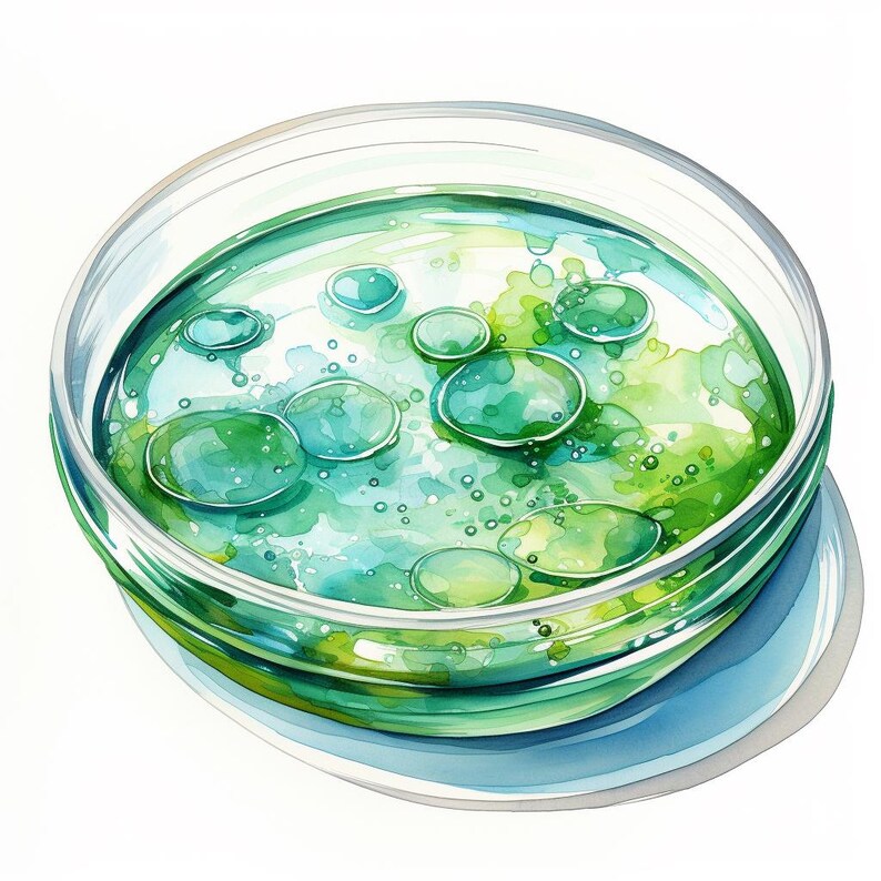 Petri Dish, Printable Watercolor Clipart, 10 High Quality Watercolor ...