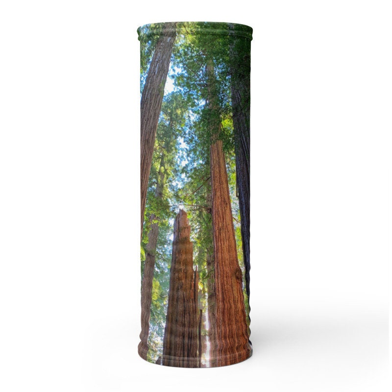Redwood Trees Hiking Adventure Full Face Mask Neck Gaiter Balaclava ...