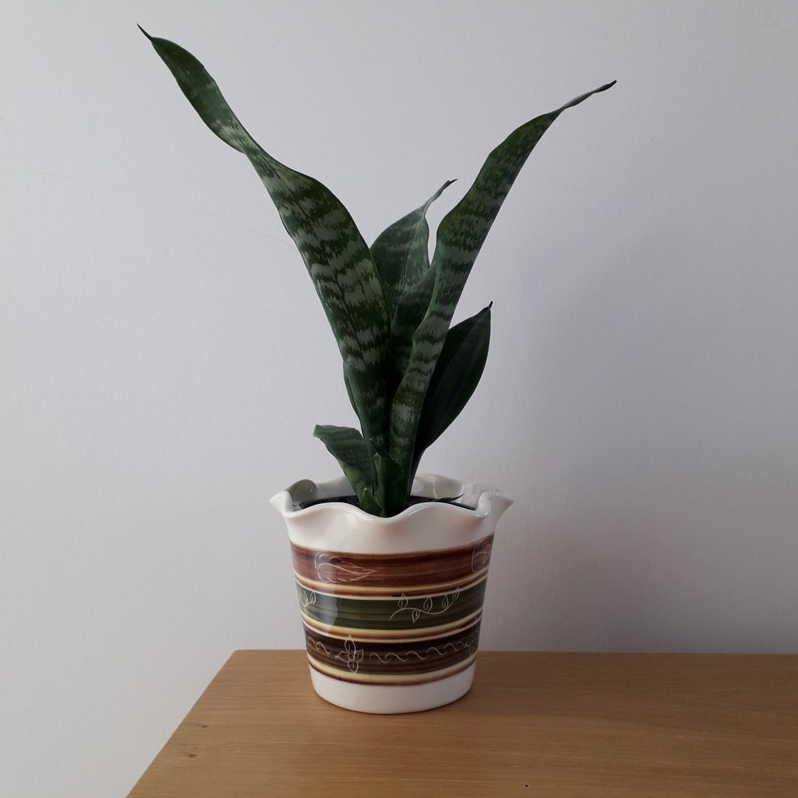 Welsh Dragon Pottery Rhayader Ceramic Planter Fluted Edge Made | Etsy