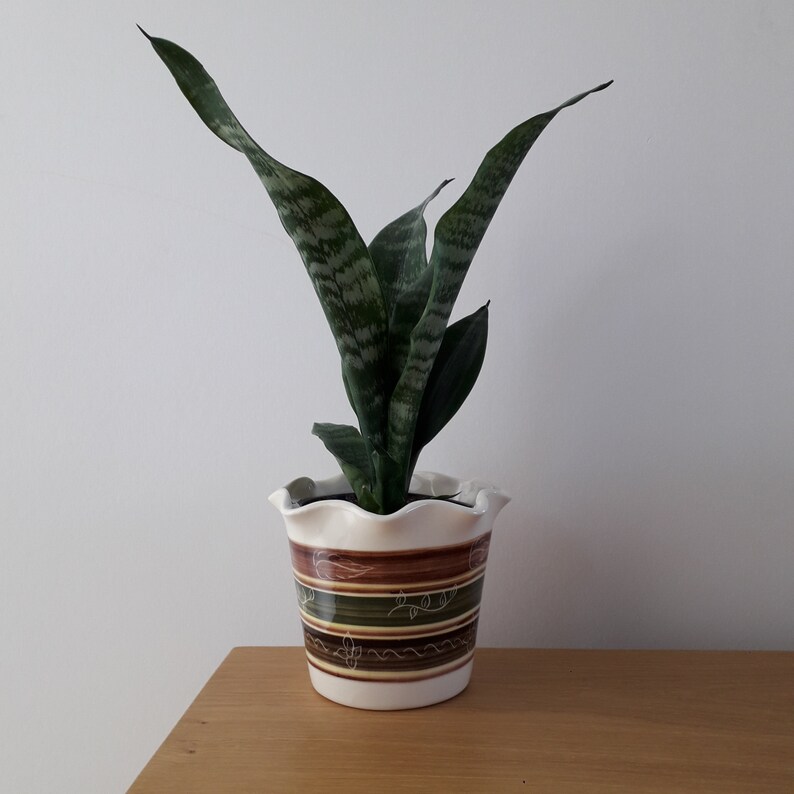 Welsh Dragon Pottery Rhayader Ceramic Planter Plant Pot Made - Etsy UK