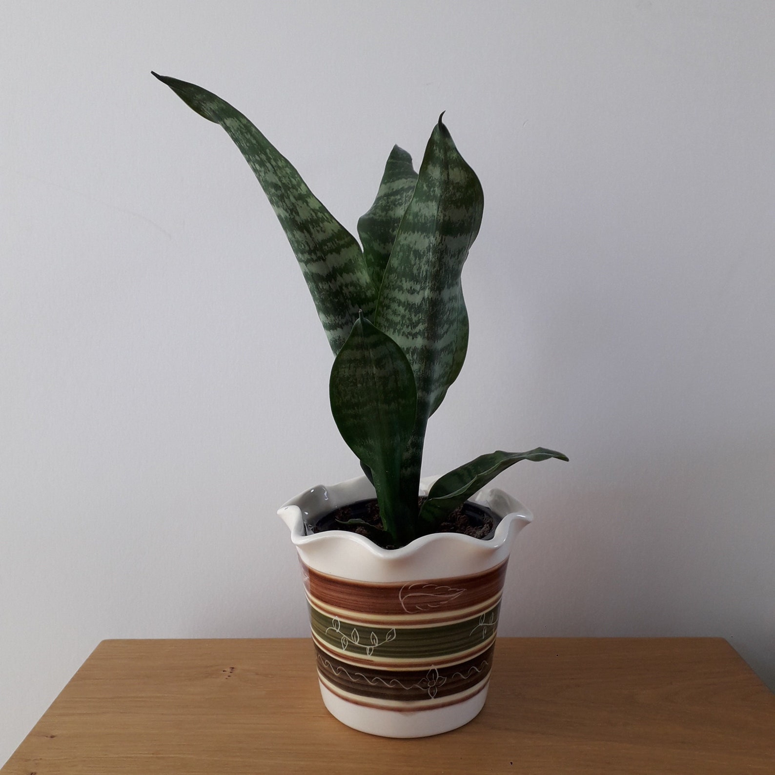 Welsh Dragon Pottery Rhayader Ceramic Planter Plant Pot Made - Etsy UK