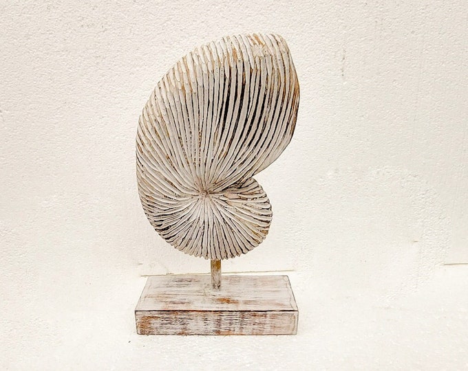 Unusual Nautilus Shell on Stand Hand Carved Shell on Stand Large Shabby ...
