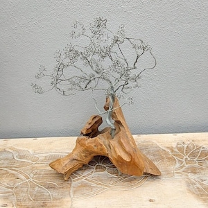 PlantationDesignsUK - Etsy UK