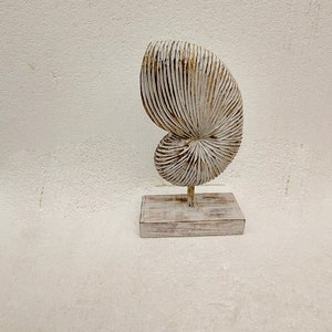 Unusual Nautilus Shell on Stand Hand Carved Shell on Stand Large Shabby ...