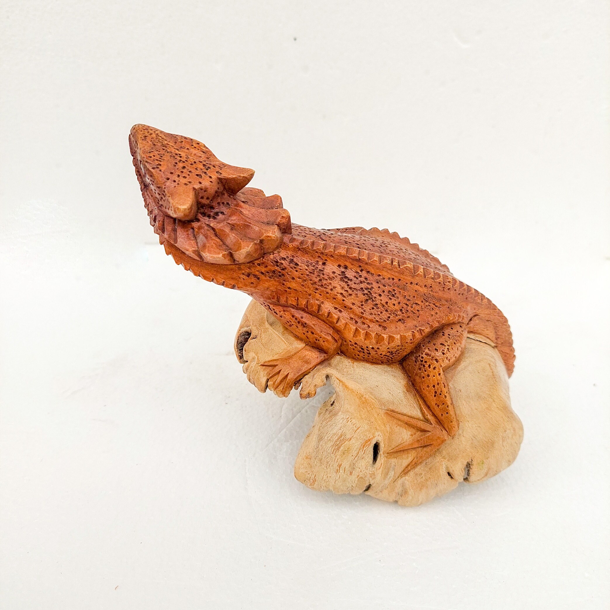 Unusual Hand Carved Frilled Lizard Wooden Lizard Carving on - Etsy