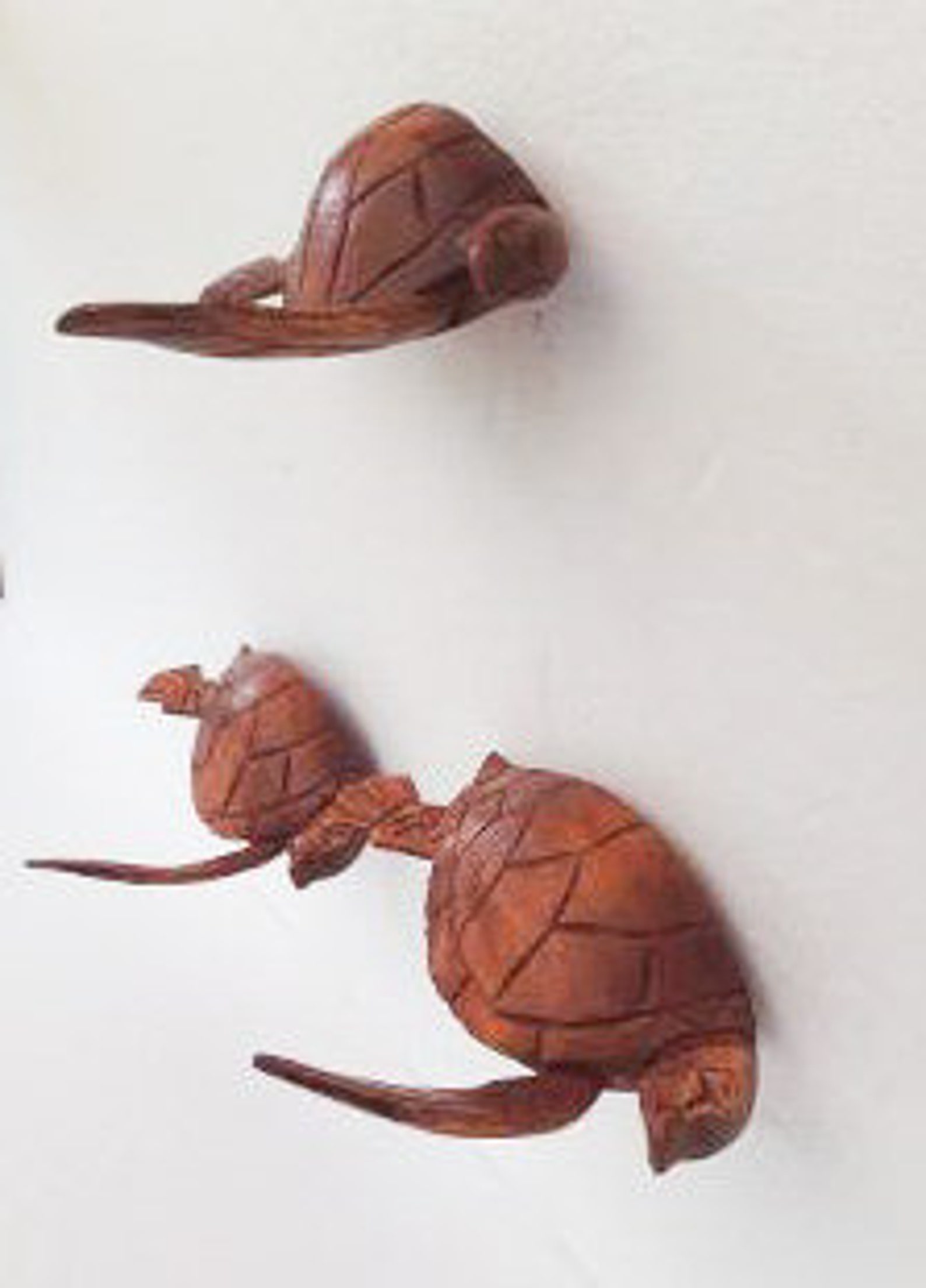 Wooden Turtle Wall Art Set of 3 Hand Carved Wooden 3D Wall | Etsy