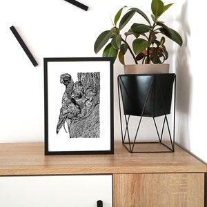 Galah Cockatoos Family Line Drawing, Australian Native Parrots Portrait ...