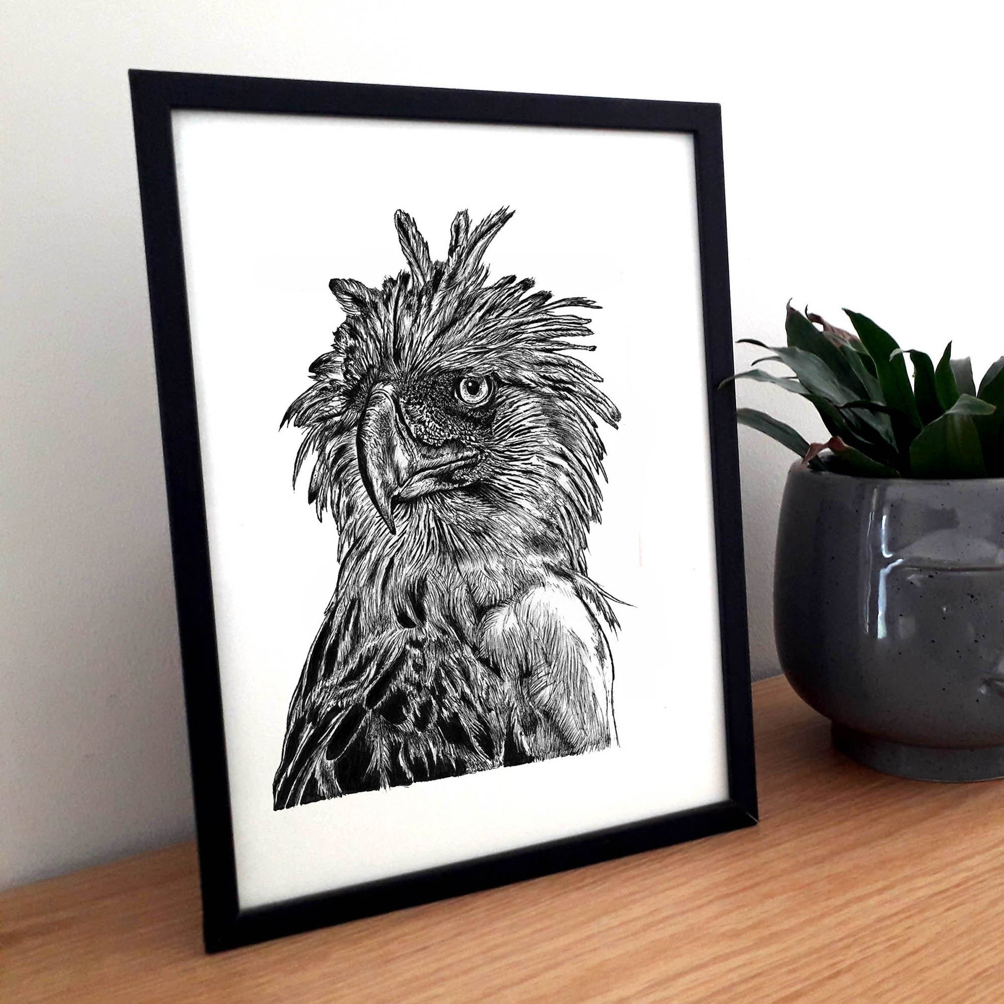 The Philippine Eagle Original Ink Drawing, Wall Decor Bird Portrait ...