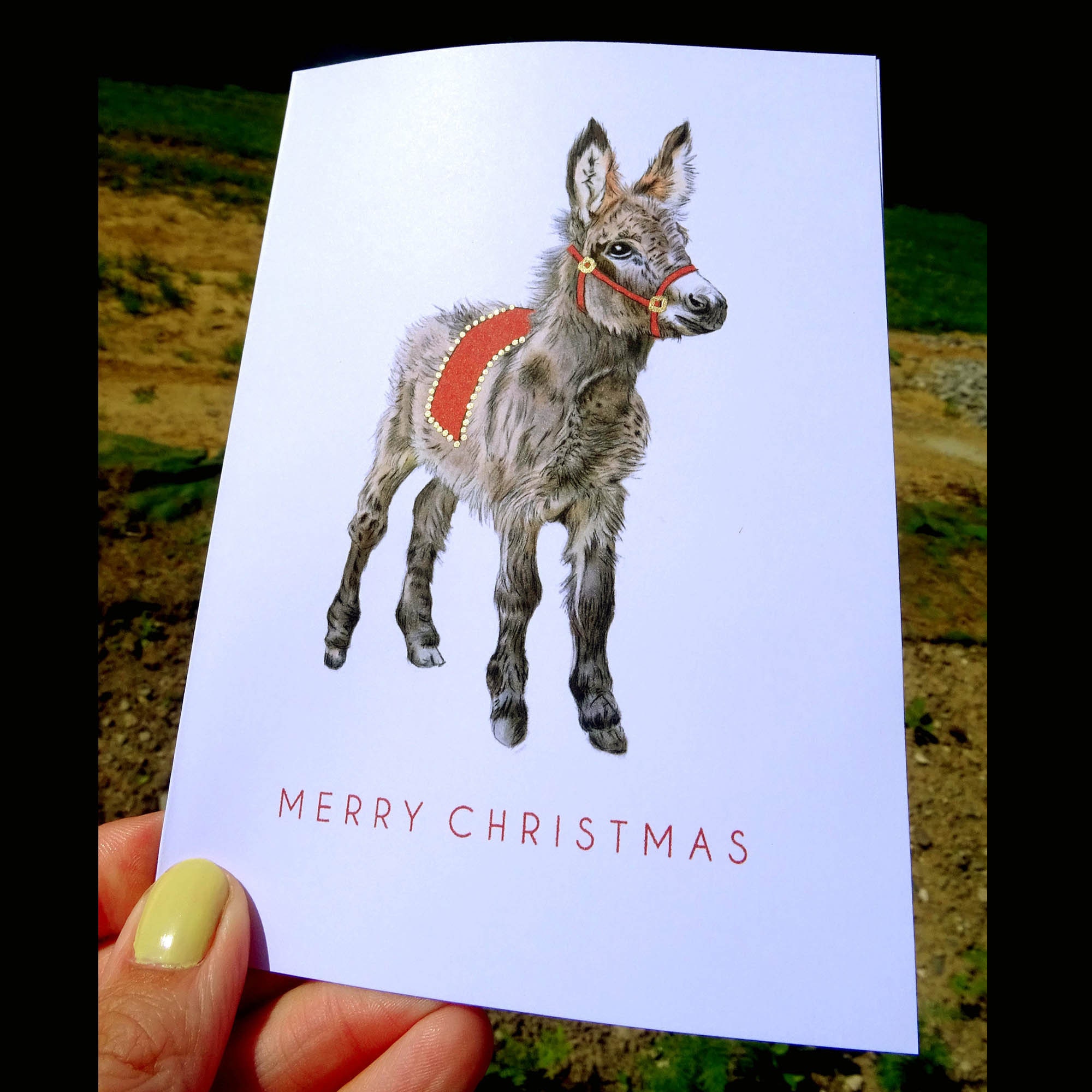 Baby Donkey Tratitional Christmas Card, Merry Xmas Gift for Animal ...