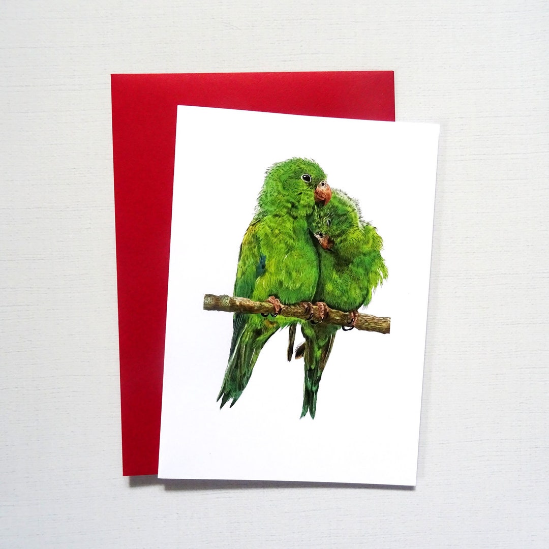 Two Cuddly Green Parrots Card, Bird Couple in Love, Lovebirds Themed ...
