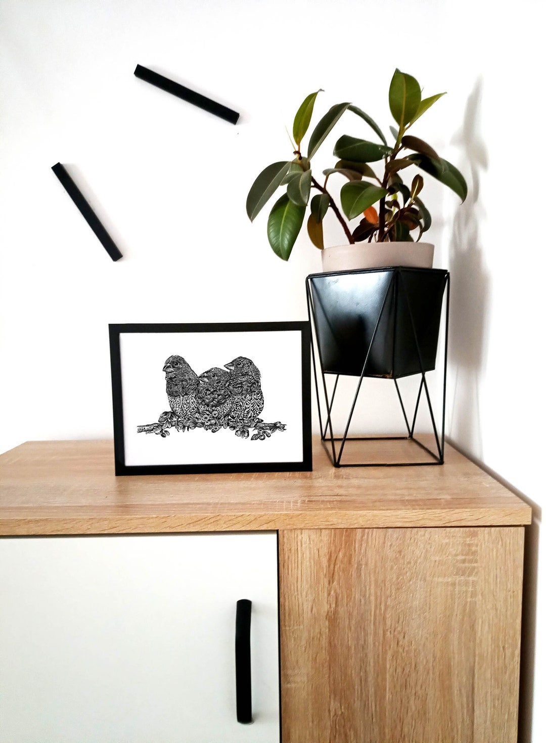 Society Finch Trio Drawing, Japanese Wildlife Original Art, Zoo Animal ...