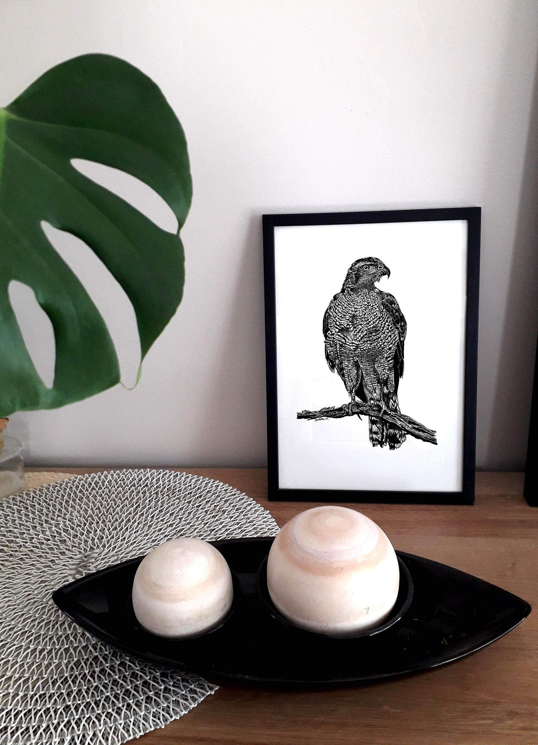 Northern Goshawk A4 Original Drawing for Woodland Raptor Bird - Etsy