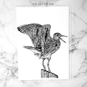 Original Upland Sandpiper Ink Drawing, Framed Coastal Art - Etsy
