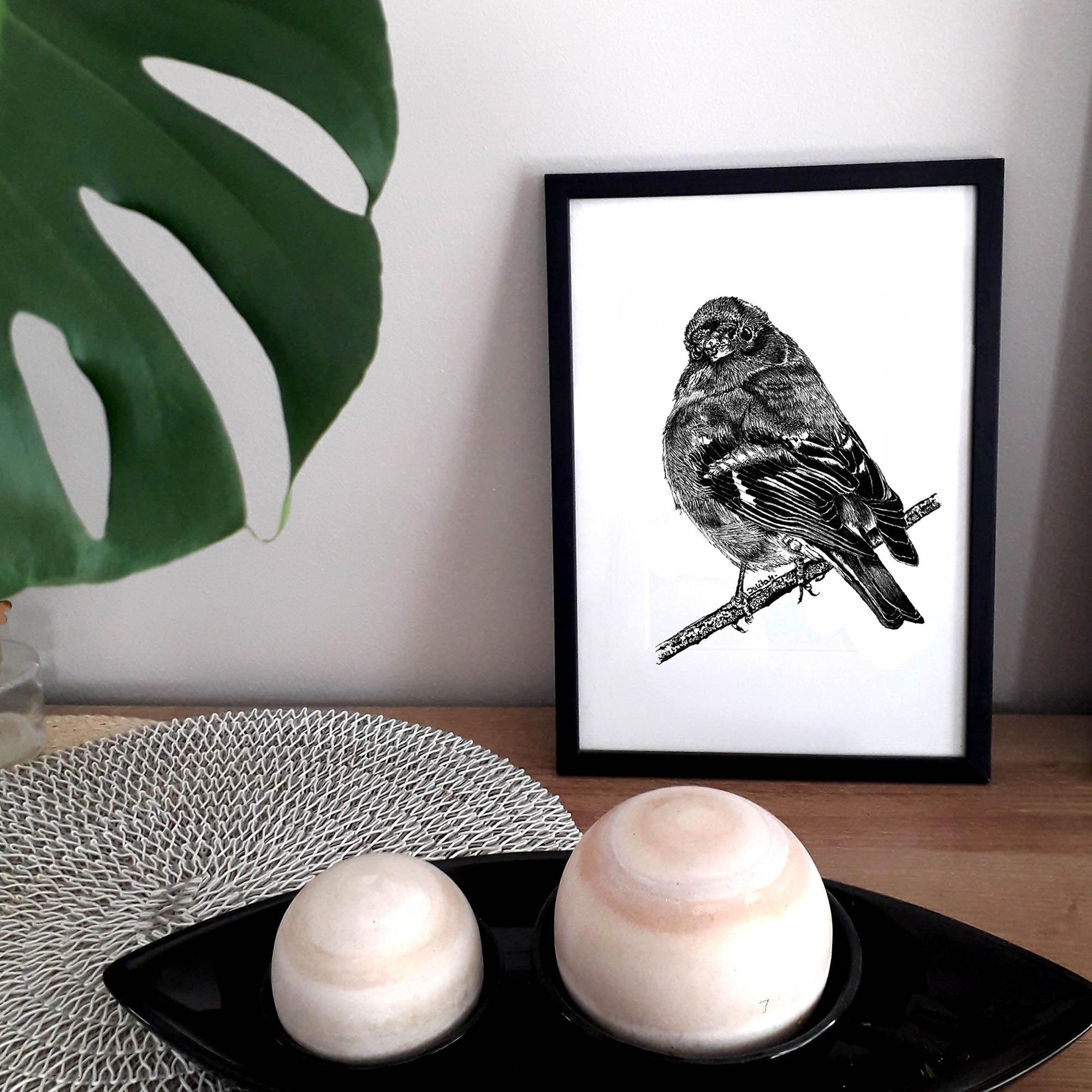 Common Chaffinch Female Original Drawing Small Songbird - Etsy