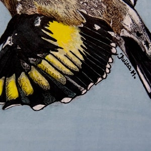 One of Kind Goldfinch Painting, Realistic Bird Art in Frame, Perfect ...