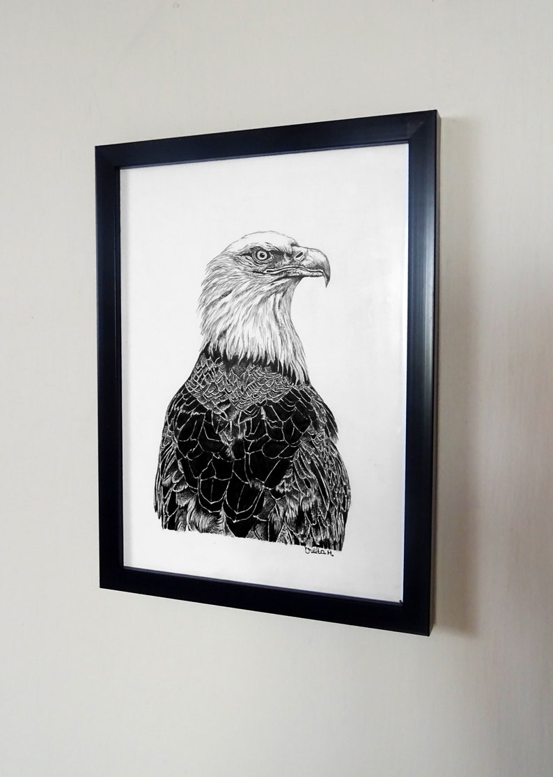 Bald Eagle Original A5 Drawing for American Wildlife Lover - Etsy
