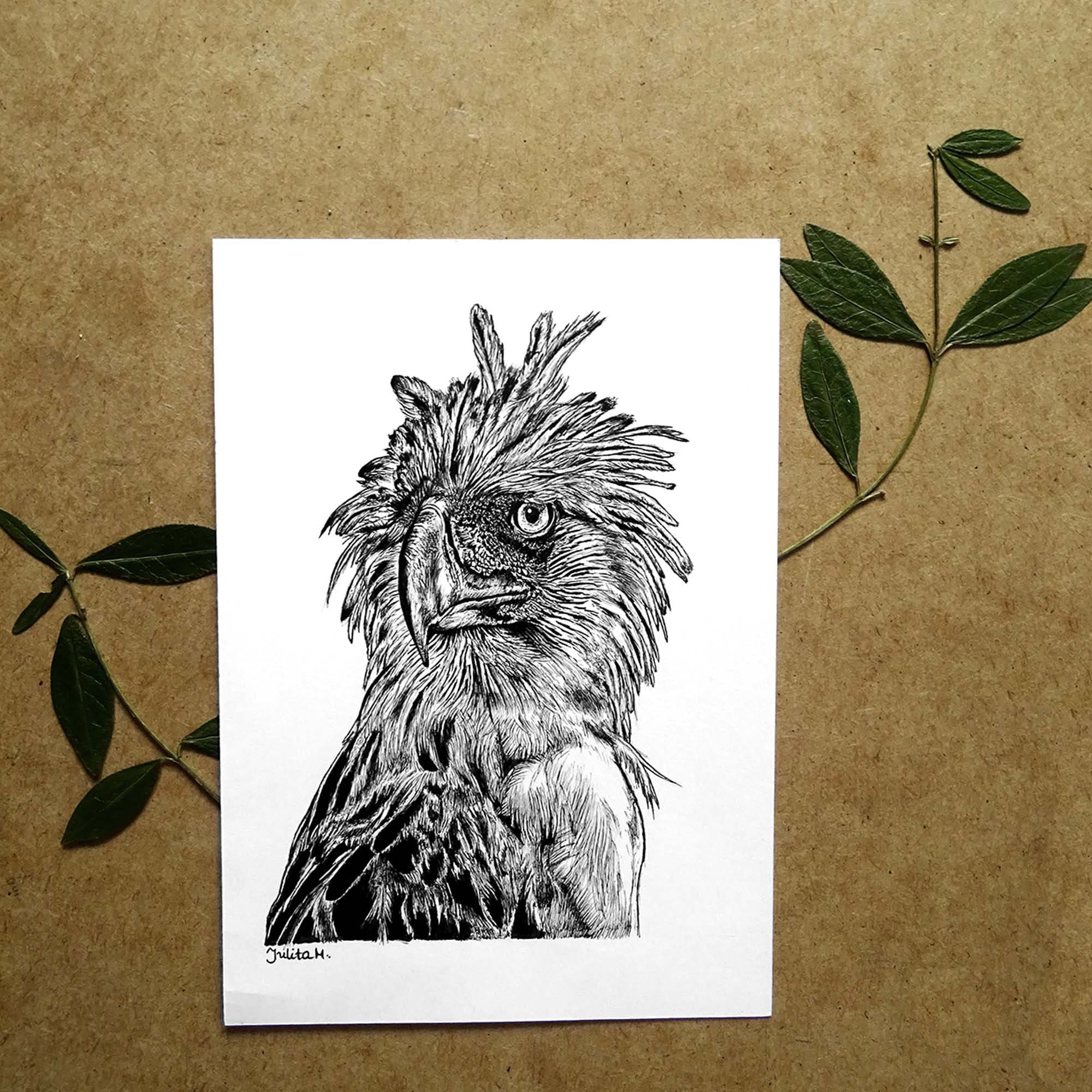 The Philippine Eagle Original Ink Drawing, Wall Decor Bird Portrait ...